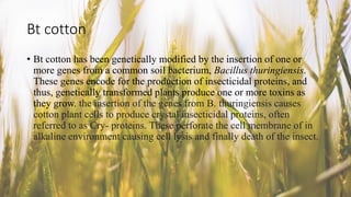 Application-of-genetic-engineering.pdf