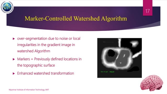 Application Of Image Segmentation In Brain Tumor Detection Pptx Brain And Nervous System