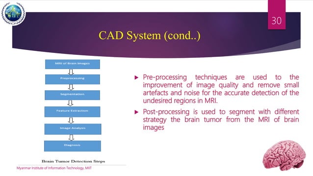 Application Of Image Segmentation In Brain Tumor Detection Pptx Brain And Nervous System