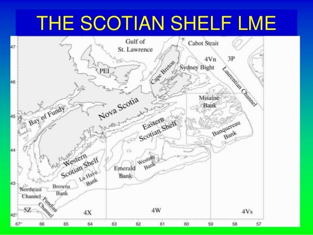 Scotian Shelf - Alchetron, The Free Social Encyclopedia