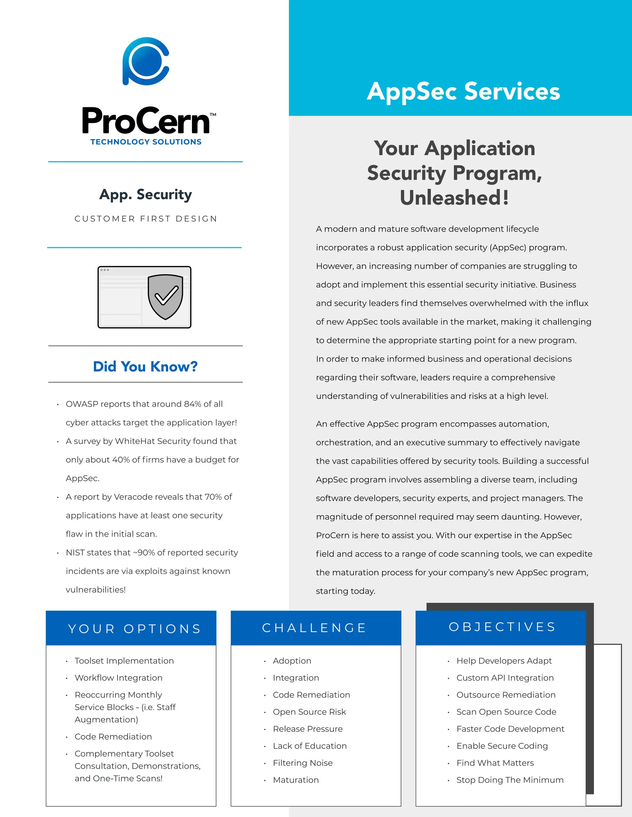 Application Security Services | ProCern Technology | PDF