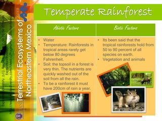 Application activity | PPT