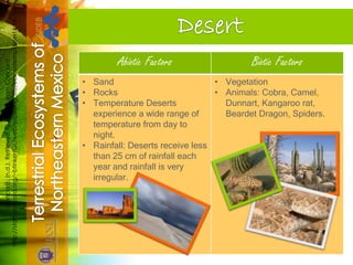 Application activity | PPT