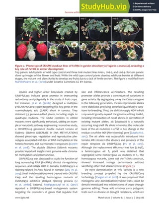 Application And Future Perspective Of CRISPR Cas9 Genome Editing In ...