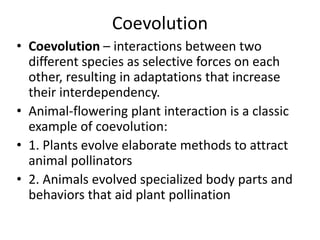 Application animal and plant interaction in food processing | PPTX