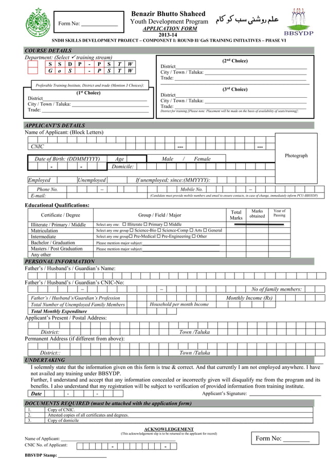 Application formbbsydp Nasrullah Channa | PDF