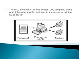 Application layer and protocols of application layer | PPT