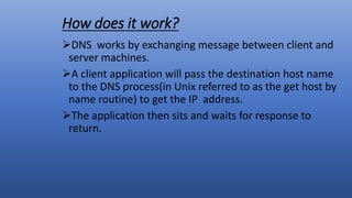 Application layer in network system | PPTX