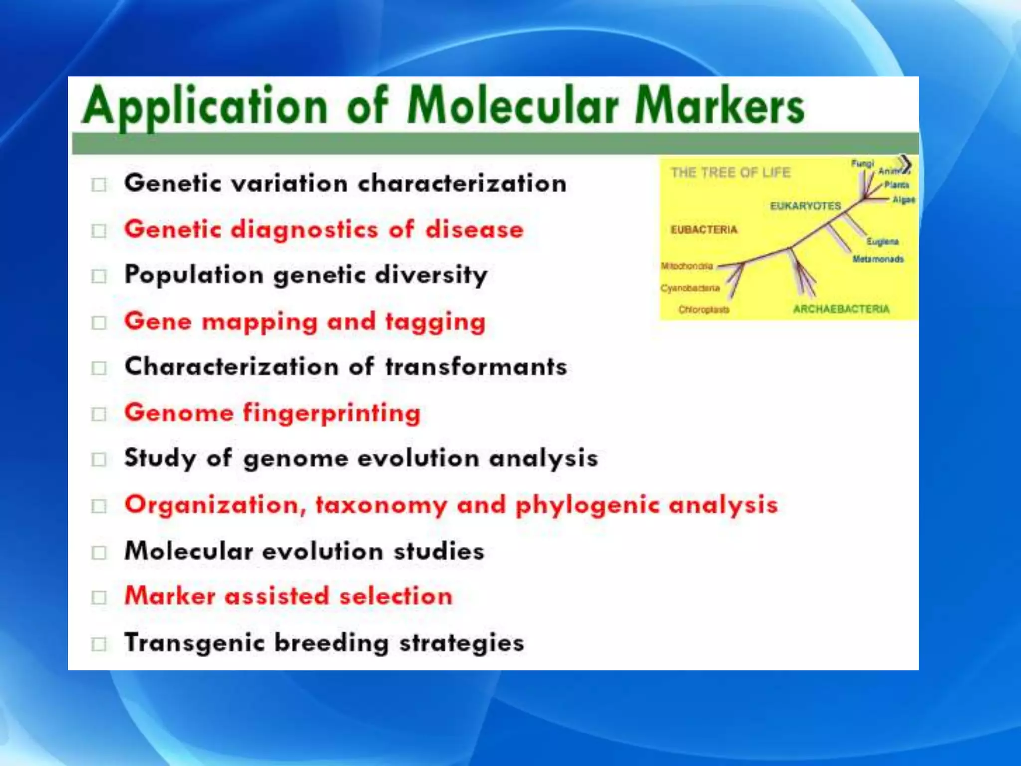 Molecular marker and application | PPT