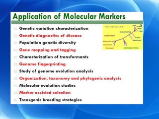 Molecular marker and application | PPTX