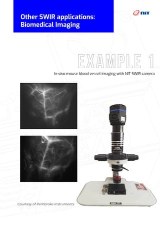 SWIR application - Microscopy | PDF