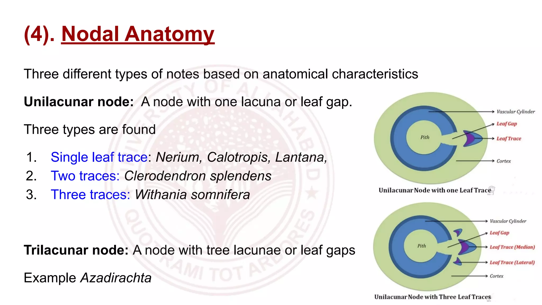 Application of anatomy in Taxonomy | PDF