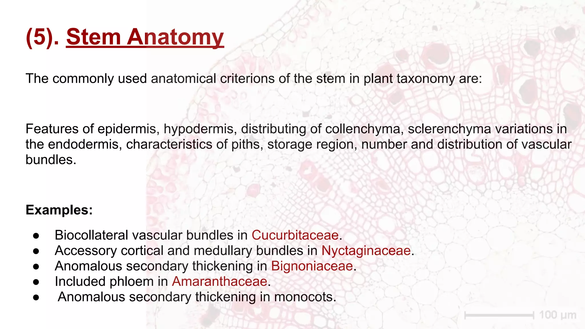 Application of anatomy in Taxonomy | PDF