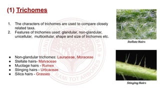 Application of anatomy in Taxonomy | PDF