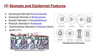 Application of anatomy in Taxonomy | PDF