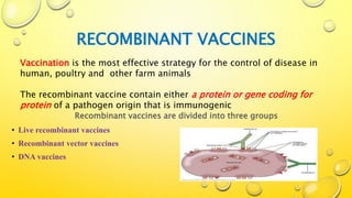 Application of animal biotechnology | PPTX