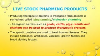 Application of animal biotechnology | PPTX