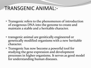 Animal cell culture, application by kk sahu | PPTX