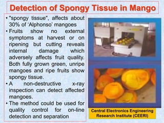 Application of artificial intelligence in food processing sector | PPT