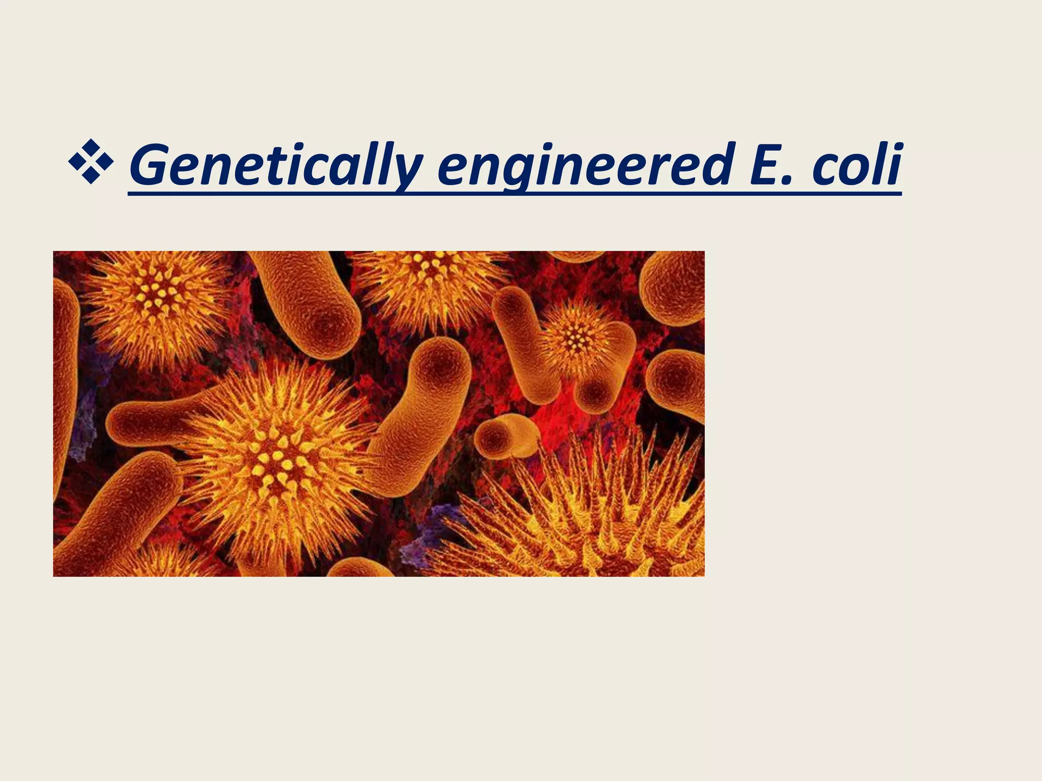 Application of bacteria in engenetic engineering.pptx voice.pdf