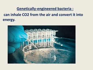 Application of bacteria in engenetic engineering.pptx voice.pdf