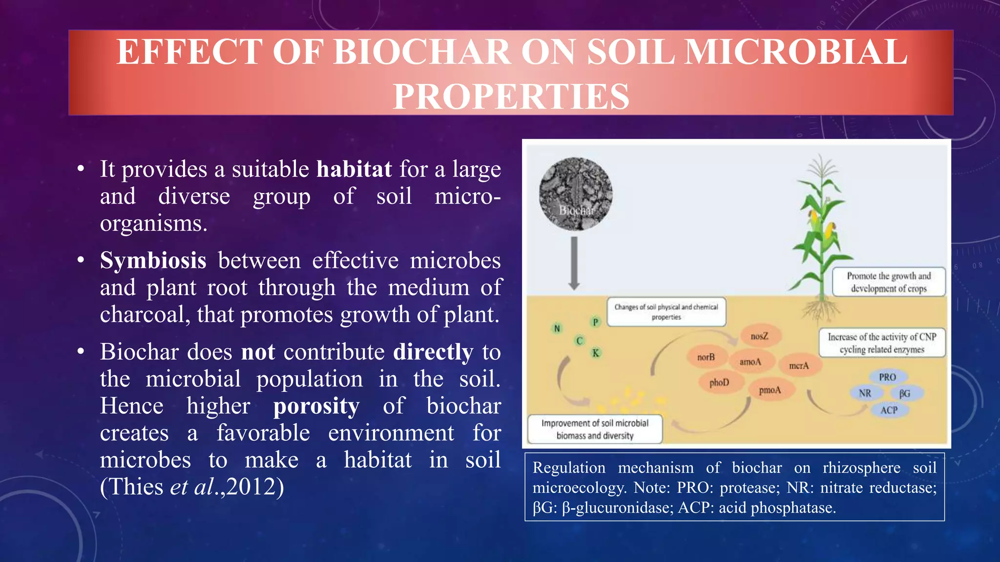 Application Of Biochar In Agriculturepptx Agriculture Industries
