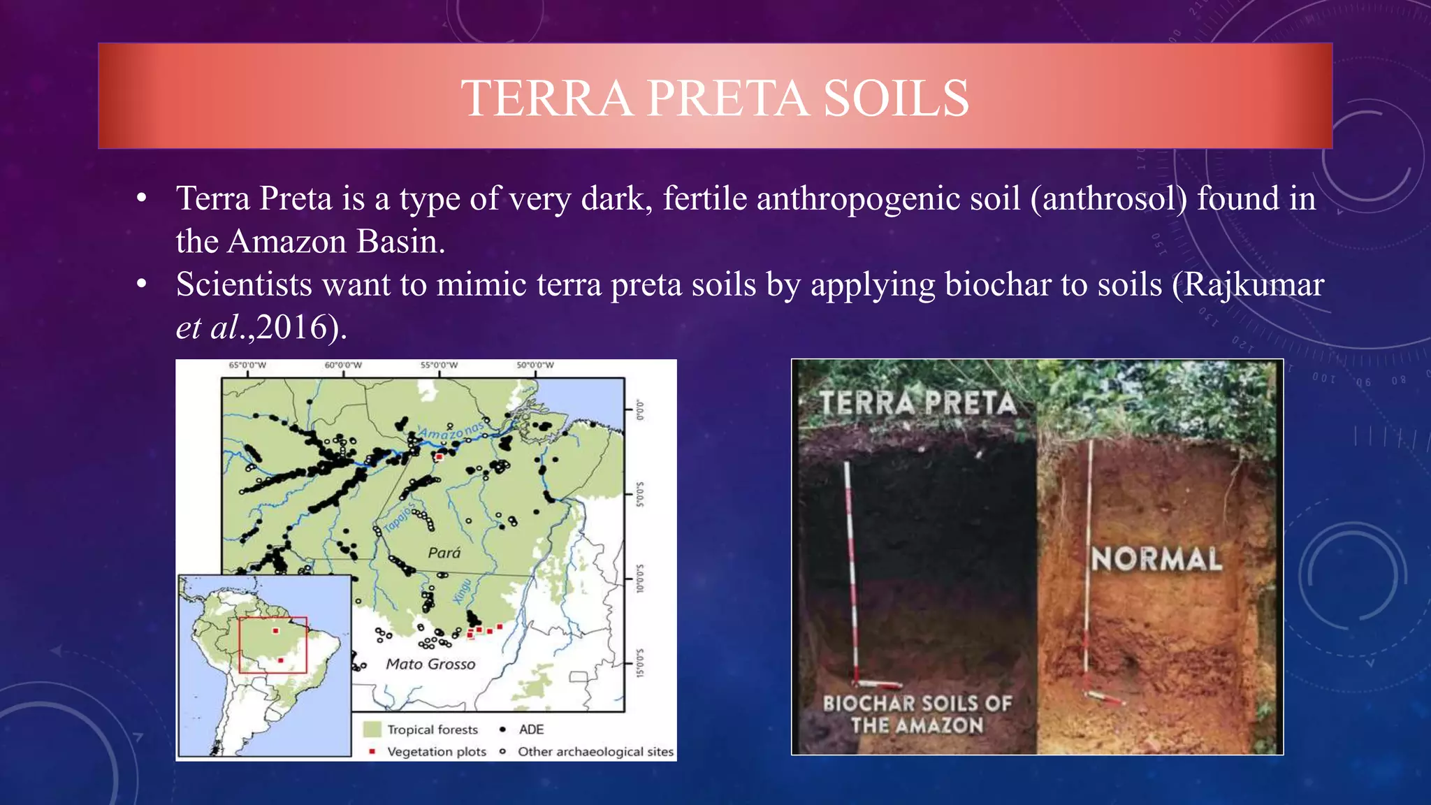 Application Of Biochar In Agriculture Pptx