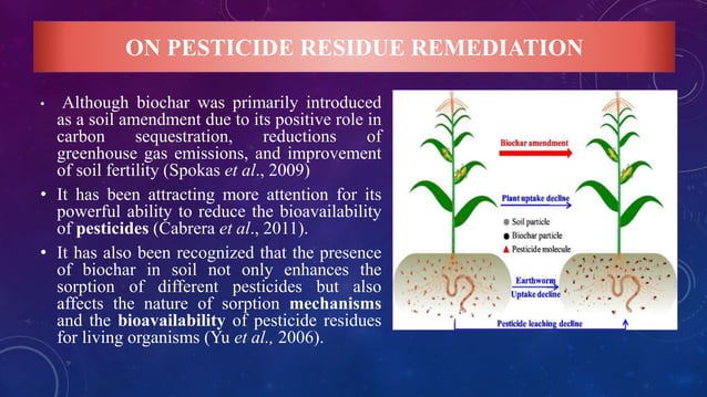 Application Of Biochar In Agriculture Pptx Agriculture Industries