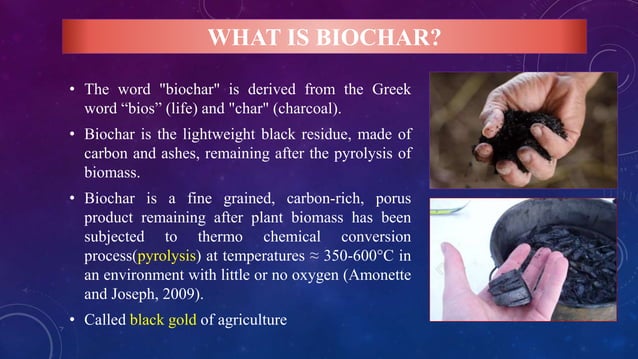 Application of biochar in agriculture.pptx | Agriculture | Industries