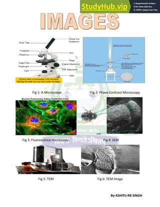 Application Of Biochemical Tools And Techniques. | PDF