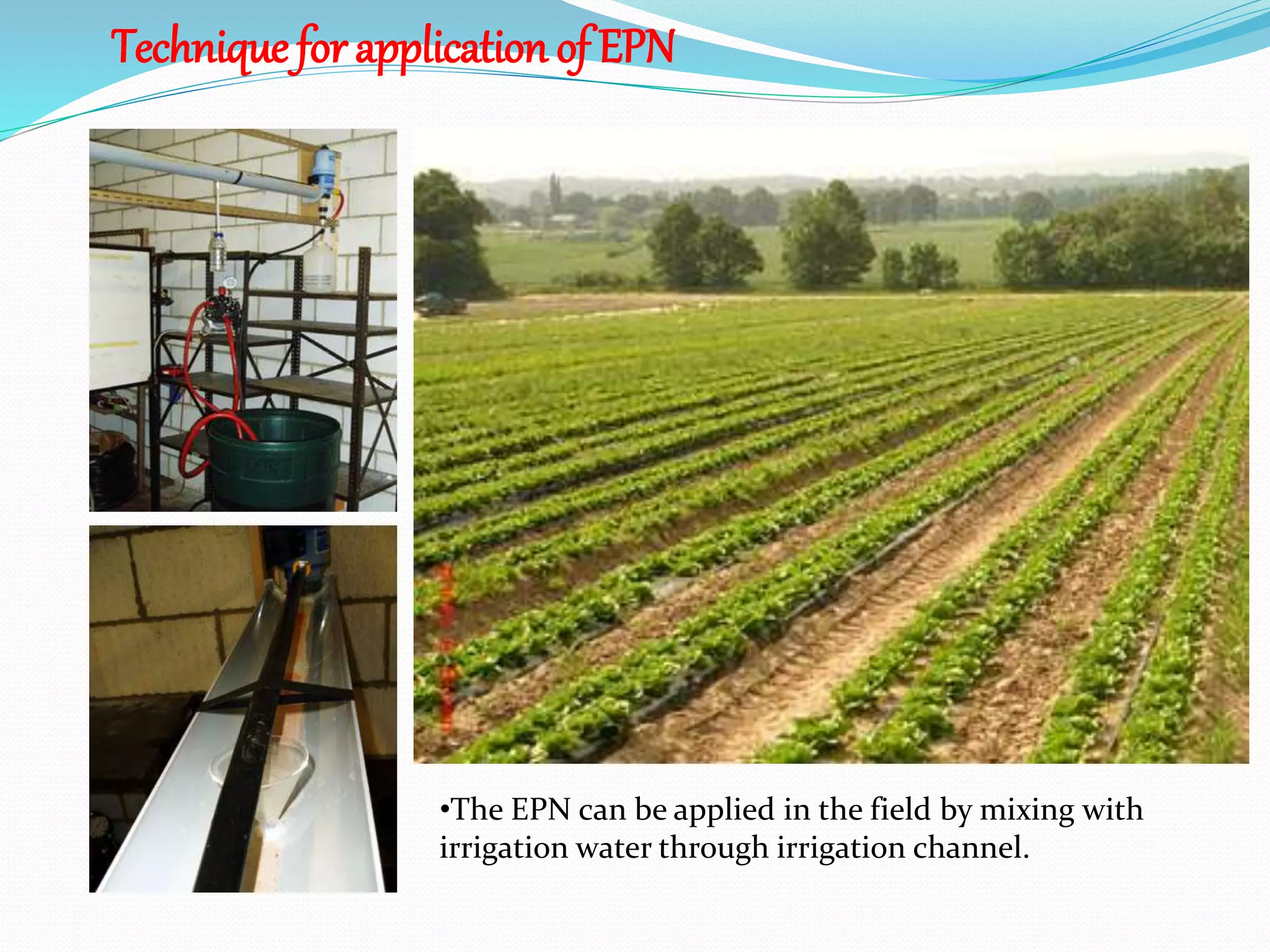 Application of biocontrol agents | PPTX