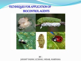 Application of biocontrol agents | PPTX