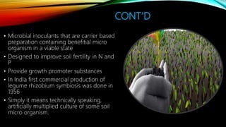 Application of biofertiliser in forest nursery | PPT