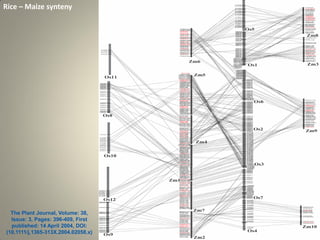 Application of bioinformatics in agriculture sector | PDF