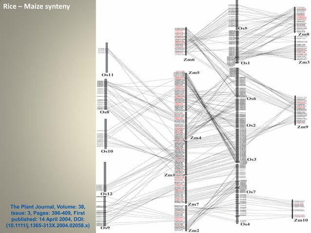 Application of bioinformatics in agriculture sector | PDF | Agriculture ...