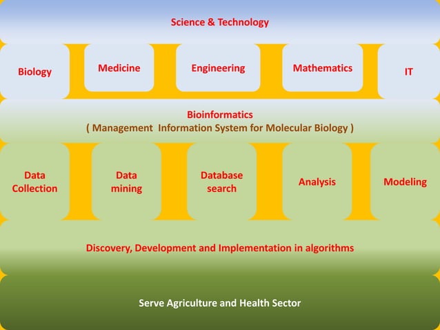 Application of bioinformatics in agriculture sector | PDF | Agriculture ...