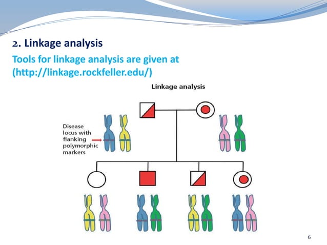 Application of bioinformatics | PPTX