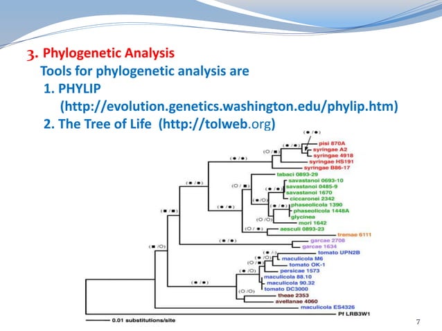 Application of bioinformatics | PPTX