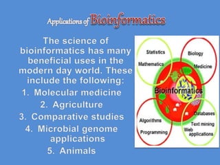 Application of bio informatics | PPTX | Computing | Technology & Computing