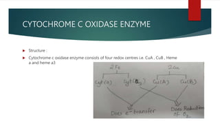 Application of bioinorganic chemistry.pptx