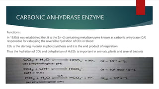 Application of bioinorganic chemistry.pptx