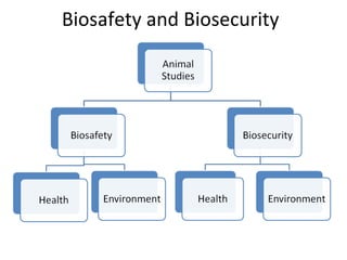 APPLICATION OF BIORISK MANAGEMENT FOR TRAINING AND RESEARCH ON ANIMALS ...