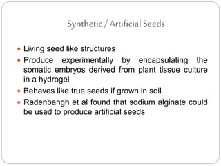 Application of biotech | PPT
