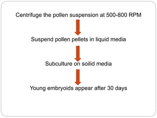 Application of biotech | PPT