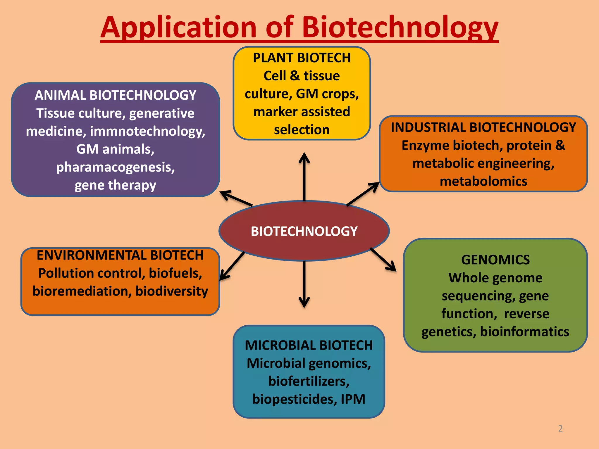 Application of Biotechnology | PDF | Biotech and Biomedical Industry ...