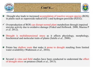Application of Biotechnology.pptx