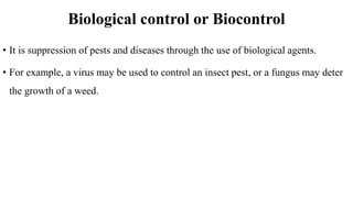 Application of Biotechnology.pptx