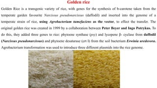 Application of Biotechnology.pptx | Free Download