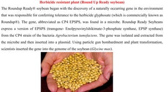 Application of Biotechnology.pptx | Free Download