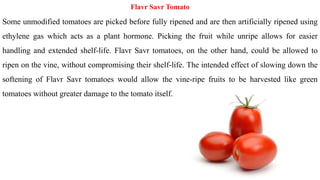 Application of Biotechnology.pptx | Free Download